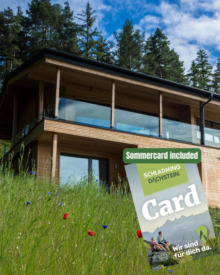 Ferdi Mountain Base Luxury Lodge In Dachstein Mountains - Schladming