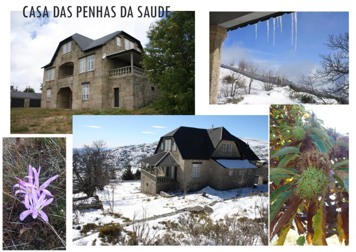 Penhas Da Saúde - Centro Region