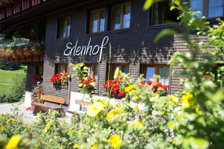 Erlenhof - Todtnau