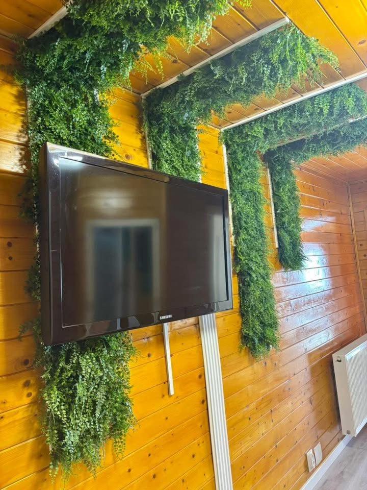 Rustic Baia Sprie - Cavnic