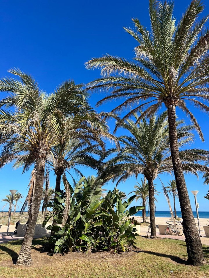 Apartamento Monika Playa Y Grau - Gandía