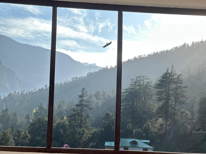 Whistling Pines Homestay - Uttarakhand