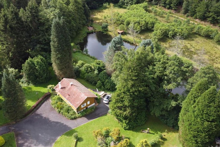 Chalet Au Bord De L’eau - Black Forest