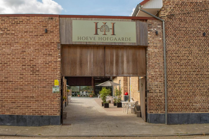 Hoeve Hofgaarde - Belgia