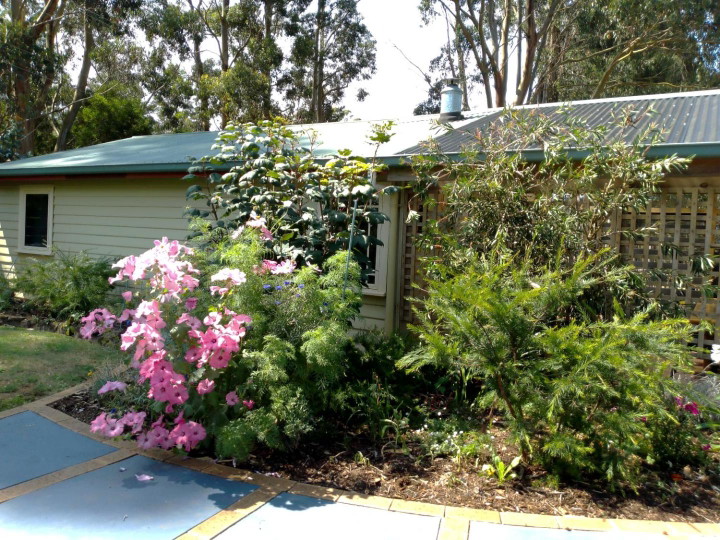 The Olive House Tasmania - Wynyard