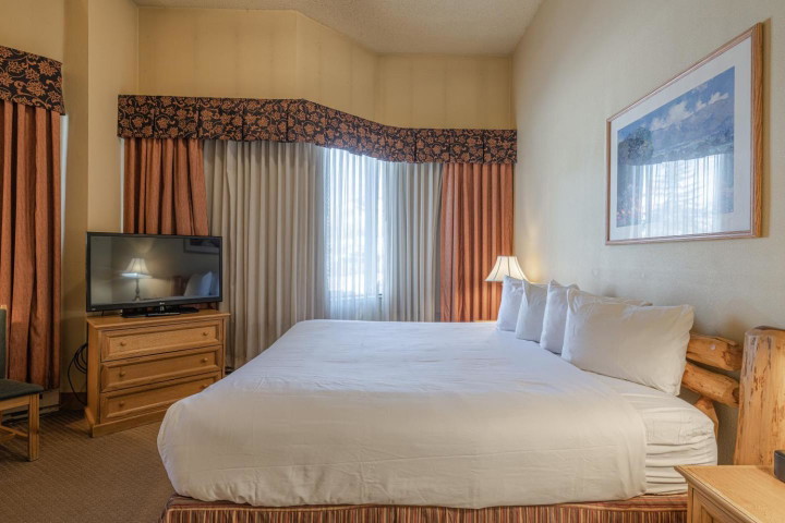 Cozy Pet-friendly King Studio In Mt, Crested Butte Condo - Crested Butte, CO