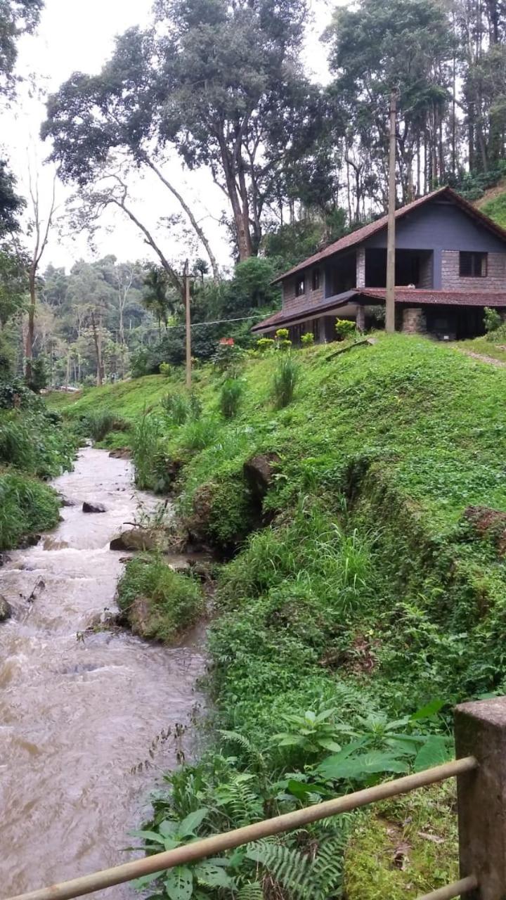 Kwality Estate - Kerala