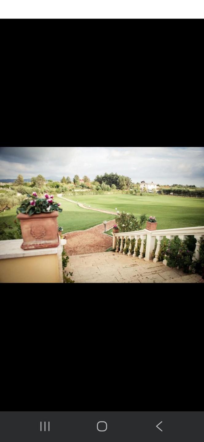 Agriturismo Grappoli Di Sole B&b - Frascati
