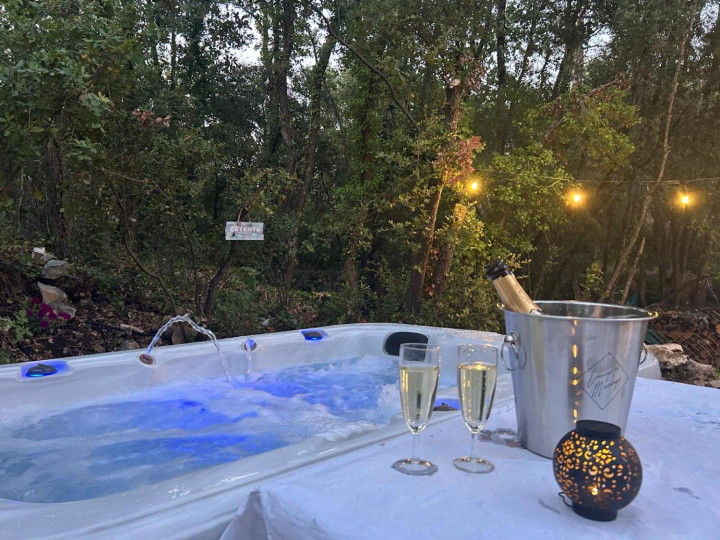 Villa Climatisée, Piscine, Spa, Jardin 4500 M2 Dans La Foret - Lorgues