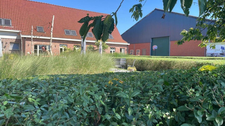 B&b De Zandput - Mol