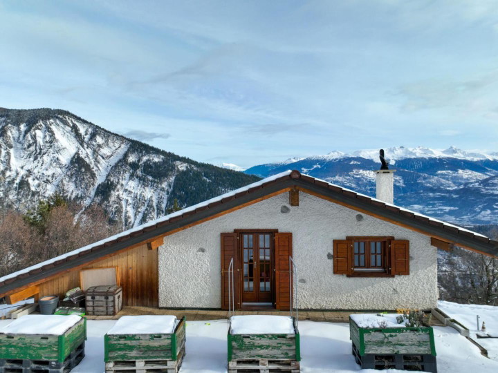 Chalet Mayens Du Rudet By Interhome - Les Diablerets
