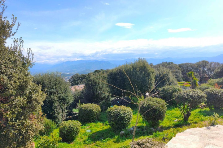 Apartment 3 Rooms With Garden In Ajaccio - Ajaccio