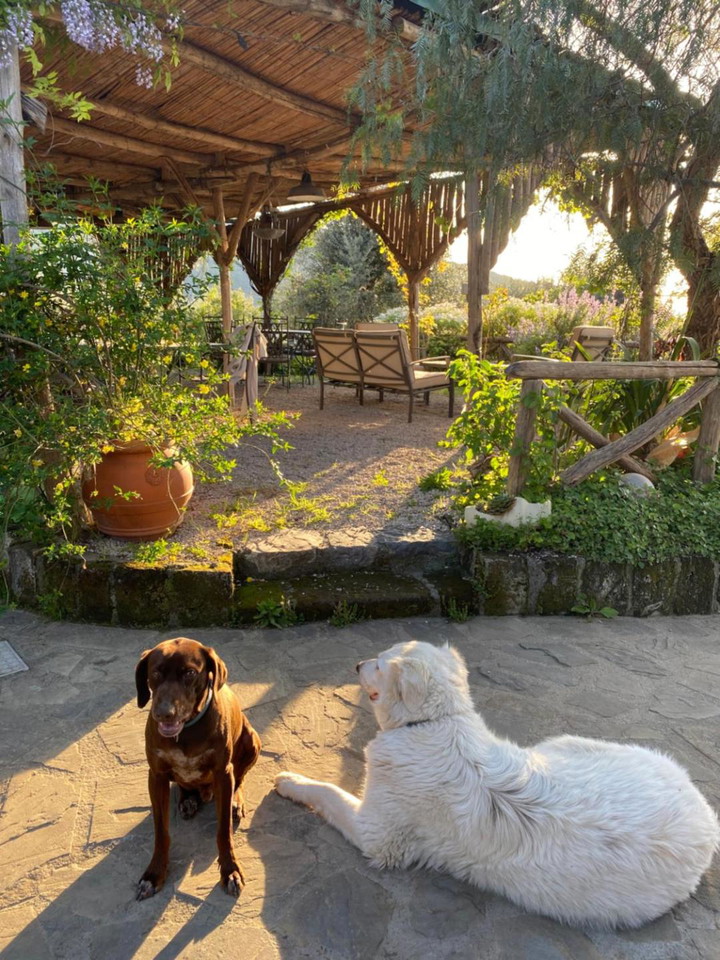 Agriturismo L'olivara - Positano