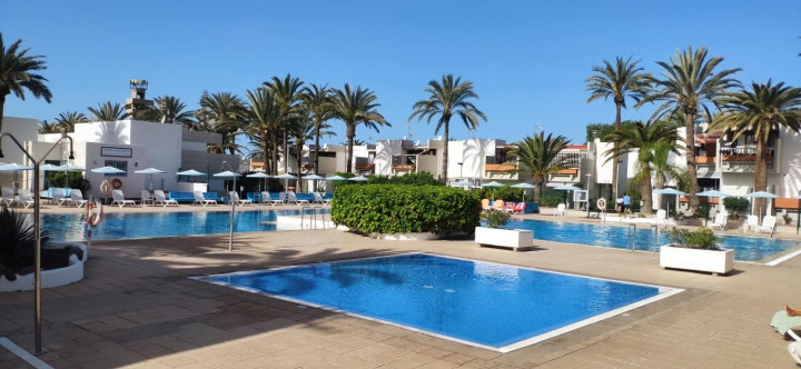 Simple Apartment Frontera Primavera Pool In South Tenerife - Tenerife