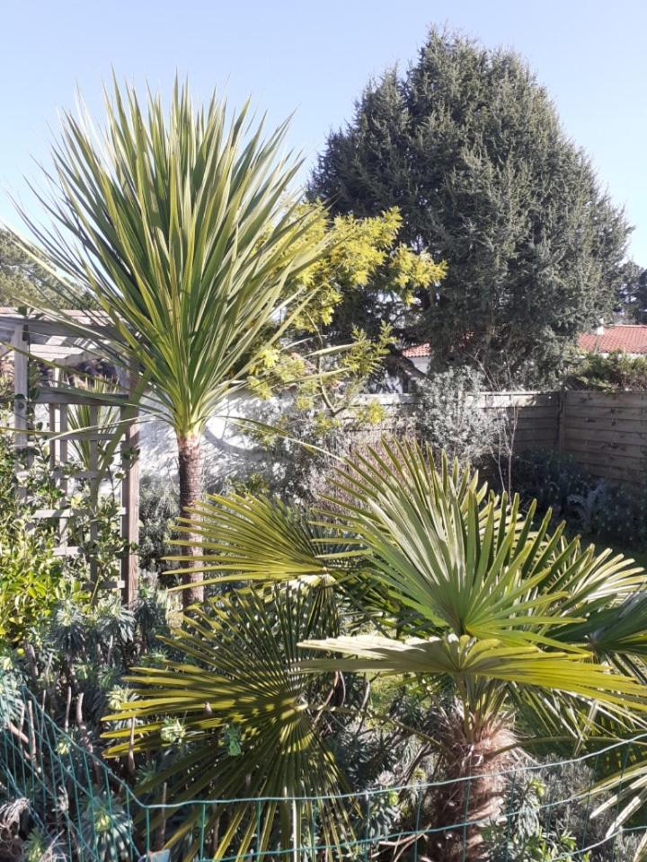 Villa Les Palmiers - Vendée