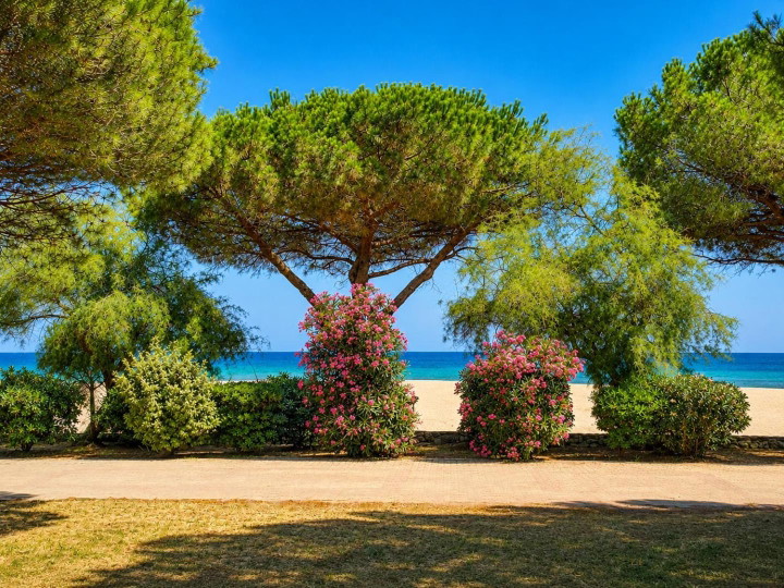 Studio Avec Jardin Front De Mer - Collioure
