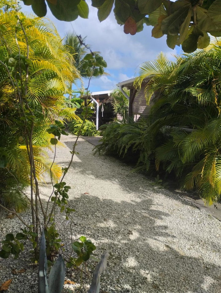 Résidence Bois Flotté - Guadeloupe