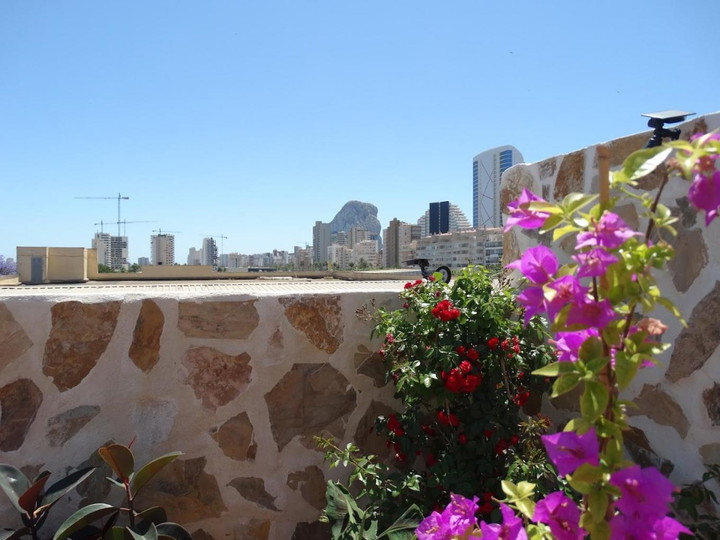 Hotel Calpe - Calp
