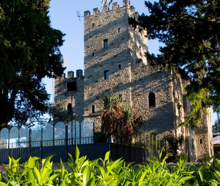 Quel Castello Di Diegaro - Cesena
