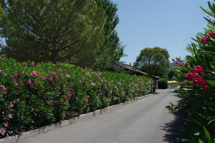 Hotel Du Bosquet - Roquefort-les-Pins