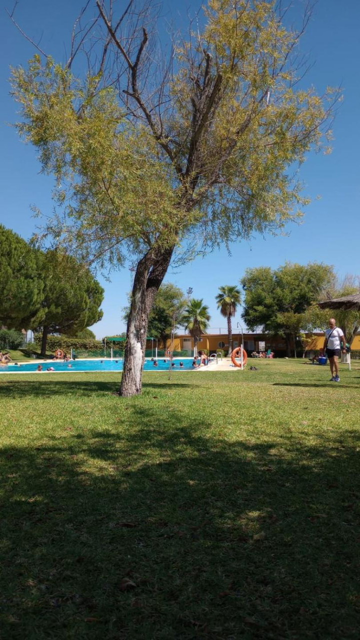 El Laurel Y El Limonero. - Spain