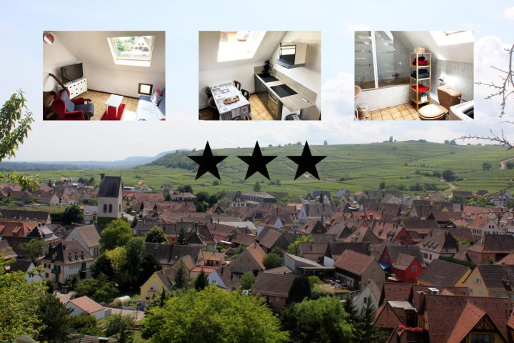 Gite Des 5 Cigognes Rouge - Colmar