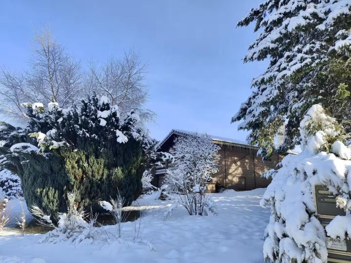 Chalet Des Sapins, Paisible Avec Terrasse Et Jardin - Xonrupt-Longemer