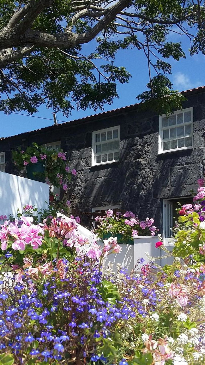 Casa Do Zé - Al - Pico Island