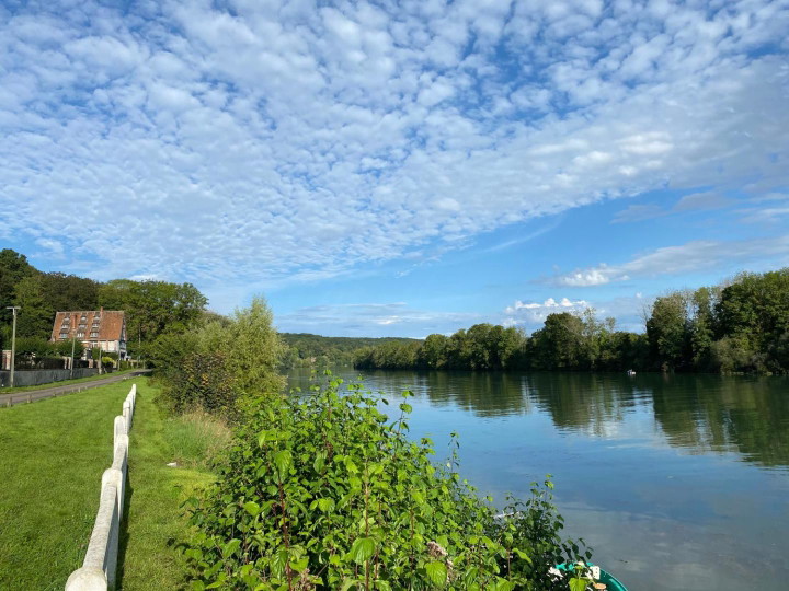 La Seine, Entre Rivière Et Forêt De Fontainebleau - Bois-le-Roi