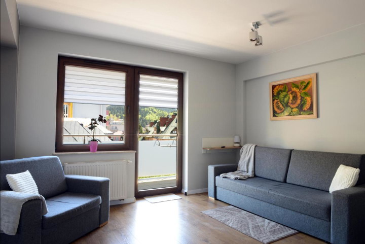 Apartament Grafitowy - Krynica-Zdrój
