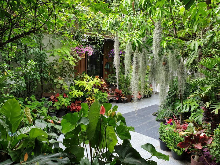 37 Nature House - Bangkok