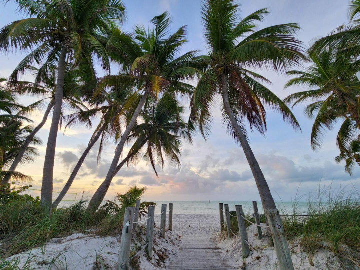 High Tide In Key West - Key West, FL