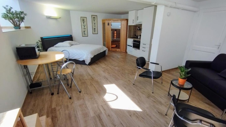 Studio 40 M2 Avec Sauna Proche De Strasbourg - 