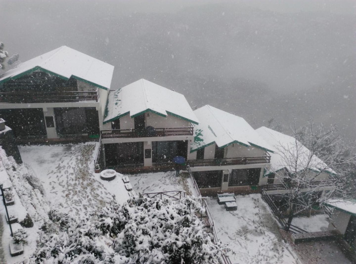 Woodsmoke Retreat - Shimla