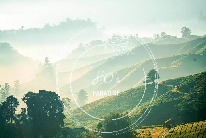 80's Paradise - Cameron Highlands
