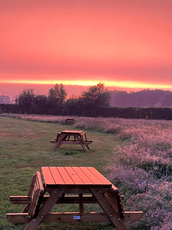 Erve Zonnehoeve Minicamping En Wijngaard - Lochem