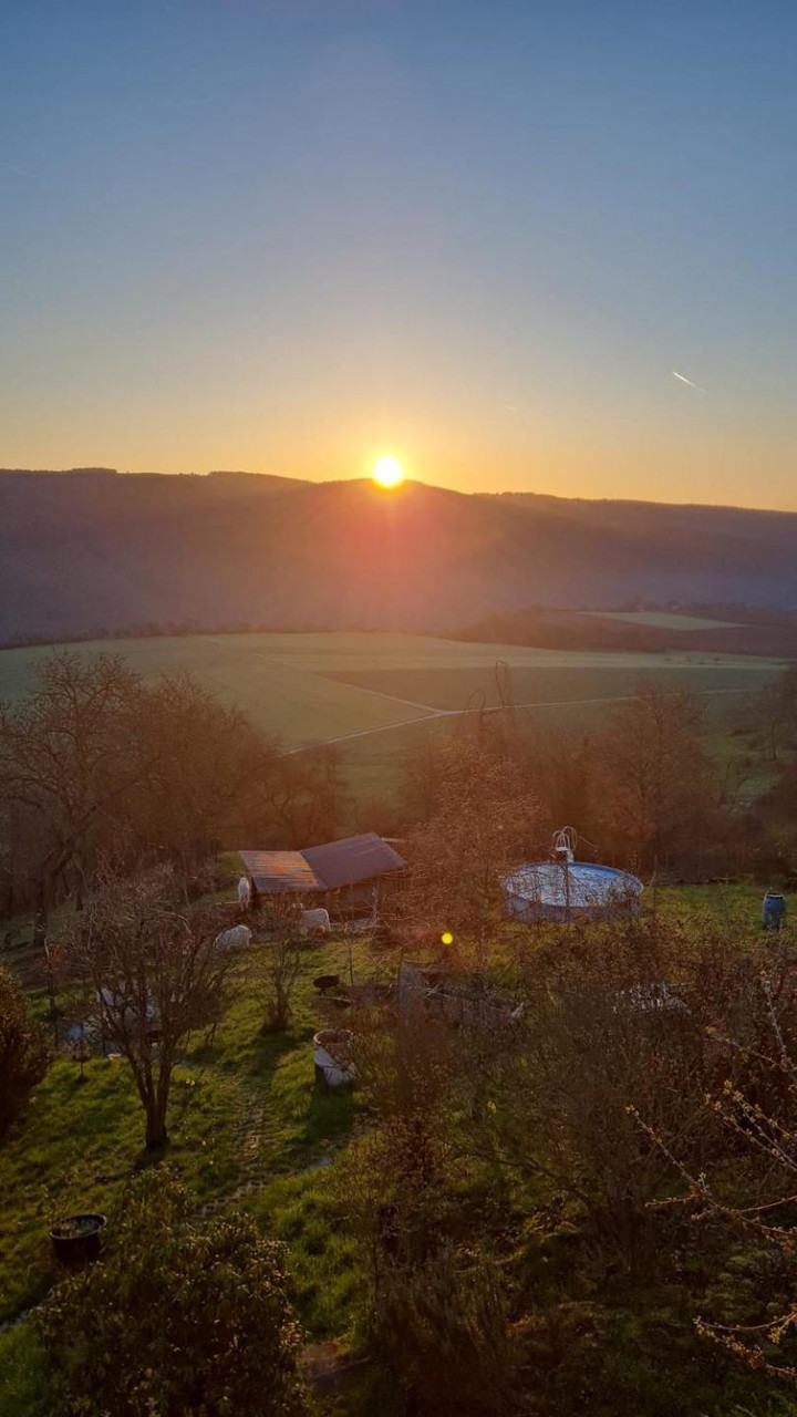 Ferienwohnung Pfalzblick - Bacharach