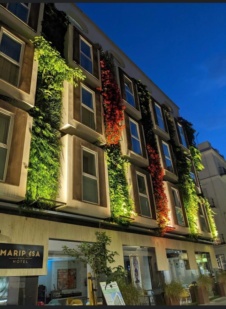 Mariposa Hotel Malaga - Málaga