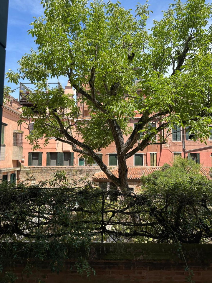 Golden Venezia Guest Rooms - Venice