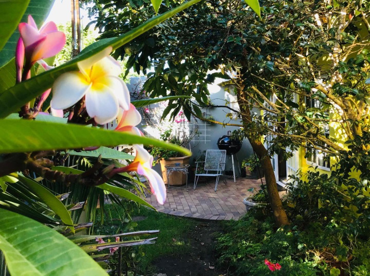Funky Cottage - Hermanus