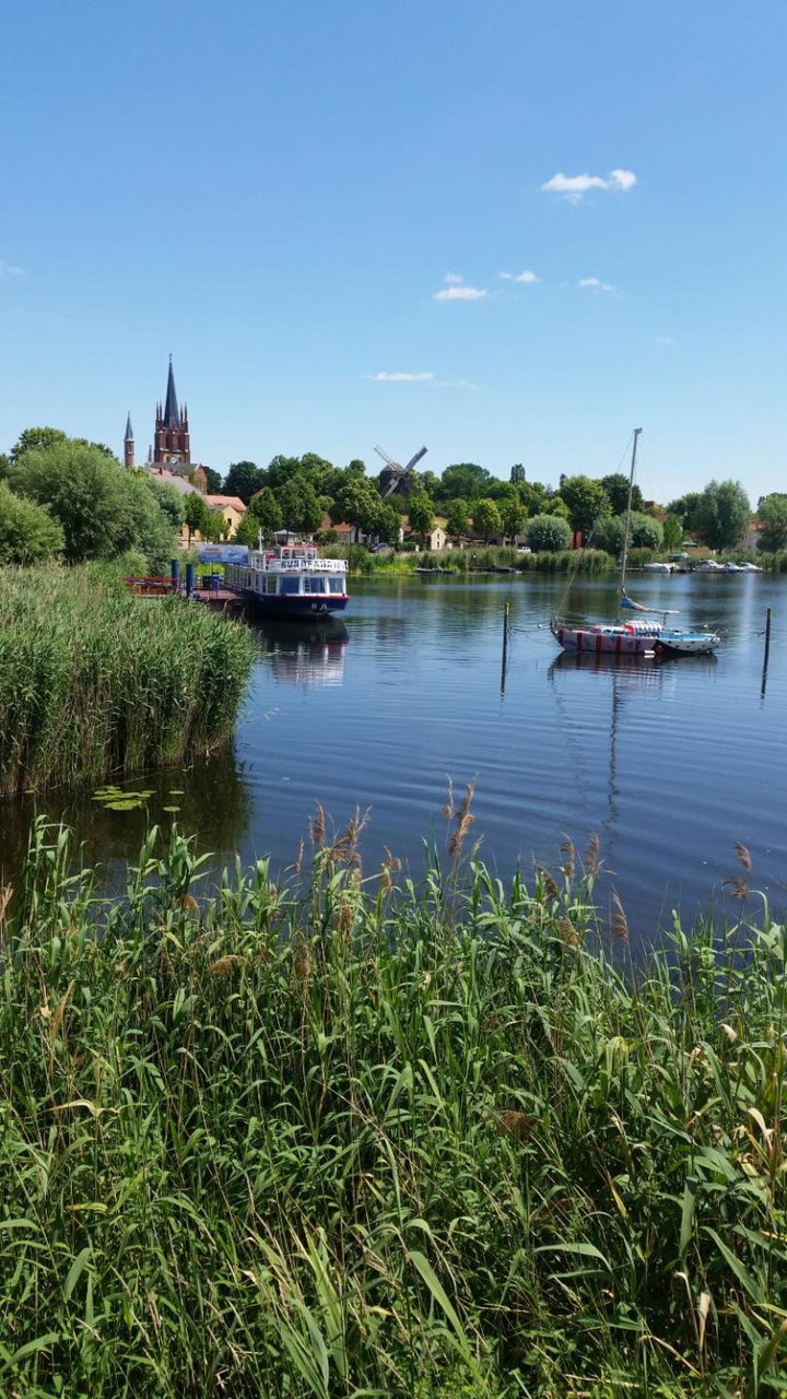 Inselblüte 2 - Potsdam
