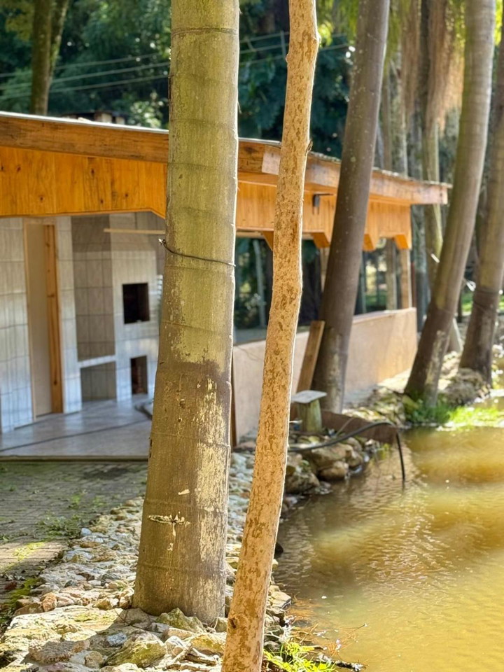 Chácara Cidade Da Divina Misericórdia - Araucária