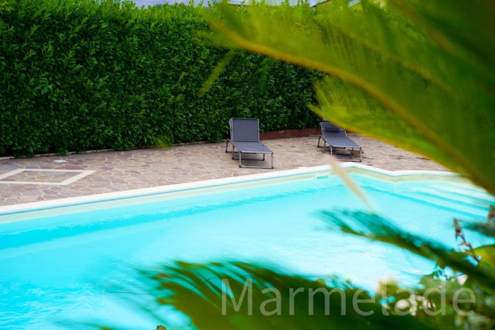 Marmelade - Frascati