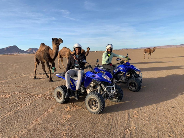 Bivouac Draa - Zagora