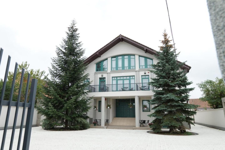 Green Villa Sibiu - Sibiu