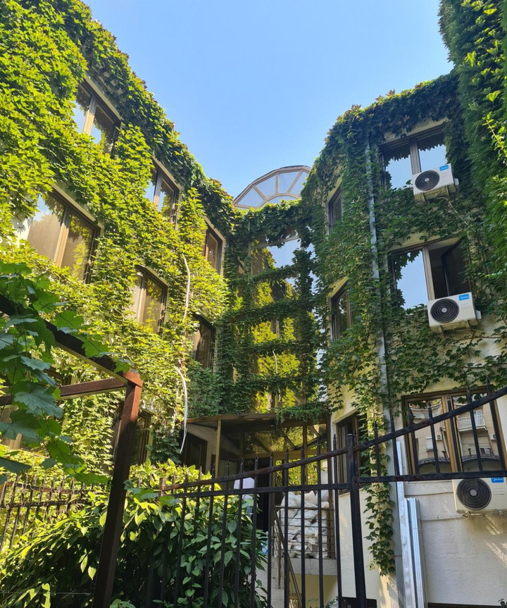 Fera - Belgrado