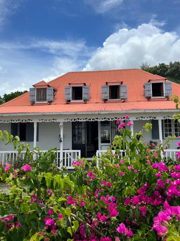 Habitation La Reine Du Camp Chambres D'hôtes - Guadeloupe