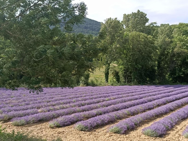 L'etable - Montélimar