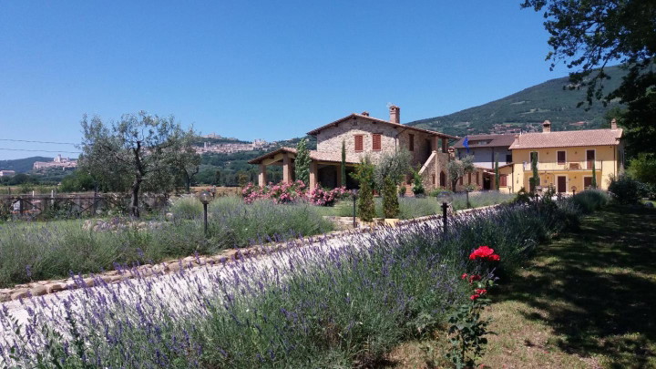 Sulla Strada Di San Francesco - Umbria