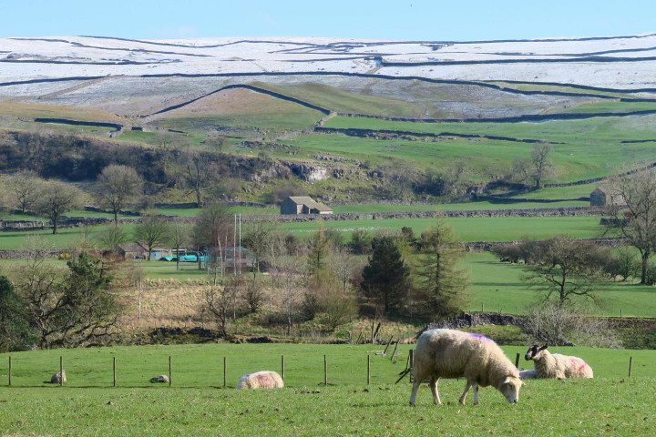 Farfield - Burnsall